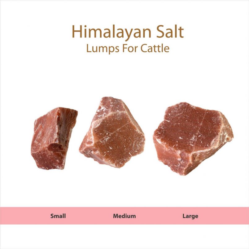 Himalayan Salt Rock for Cattle 18 Lbs Bag - Himalayan Koh