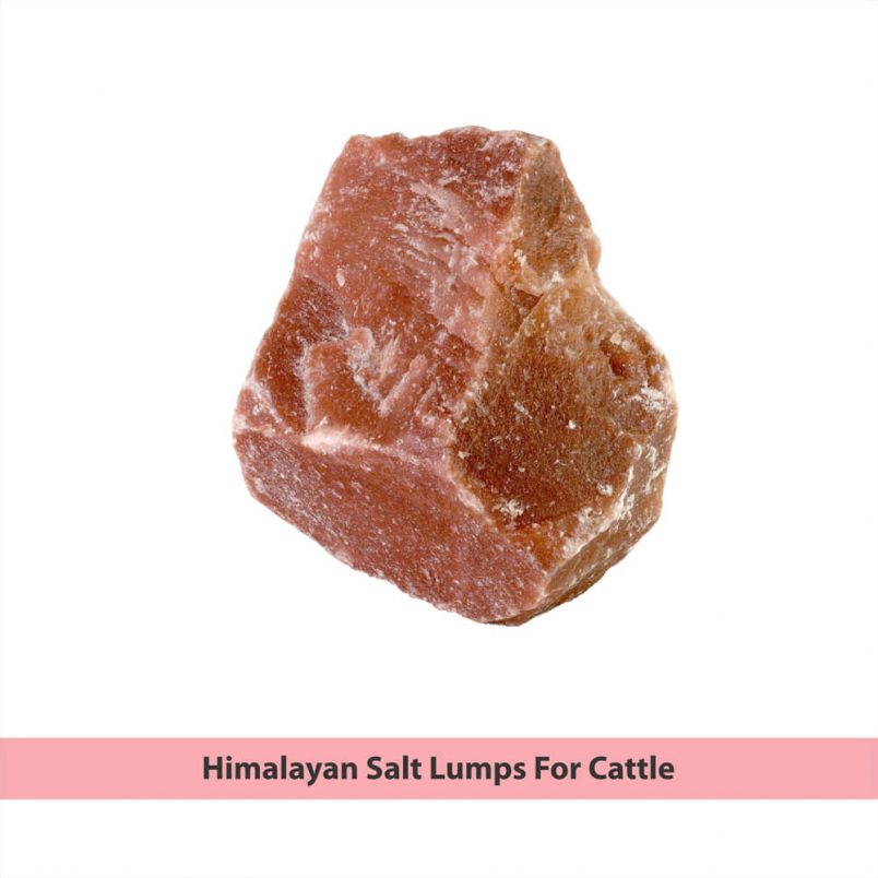 Himalayan Salt Rock for Cattle 18 Lbs Bag - Himalayan Koh